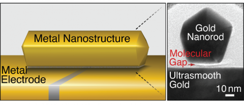 Farnaz Niroui - Publications