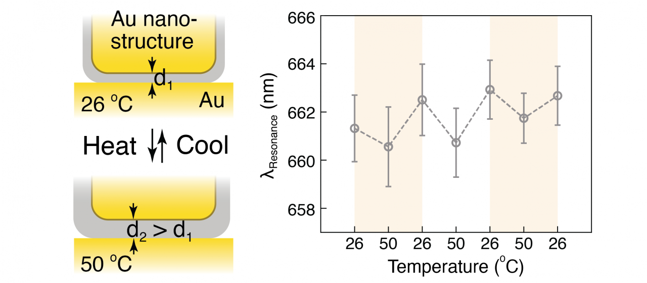 Farnaz Niroui - Publications