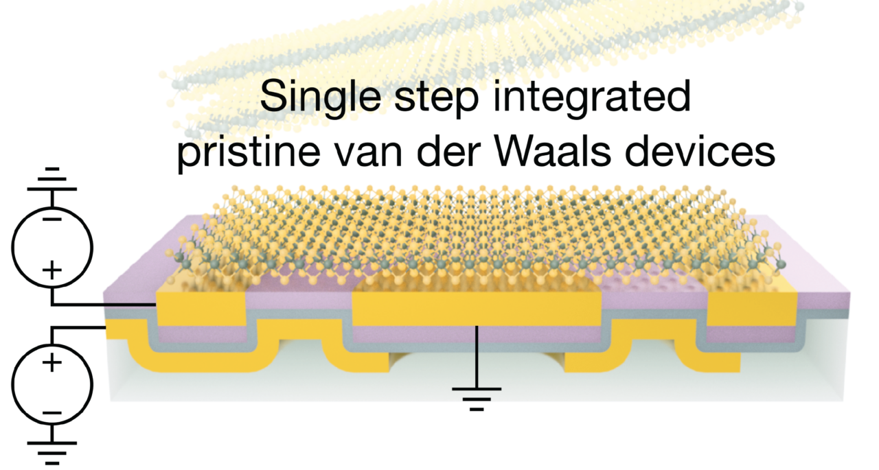 Farnaz Niroui - News