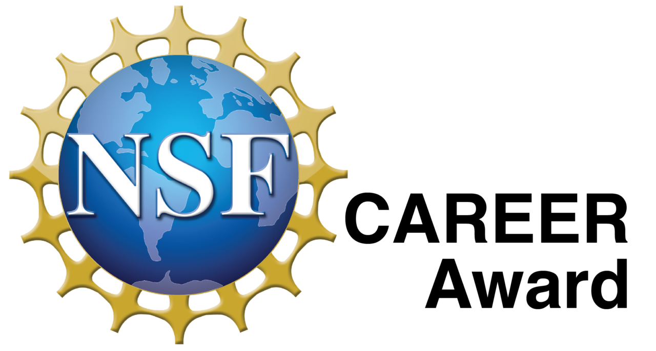 Farnaz Niroui - News