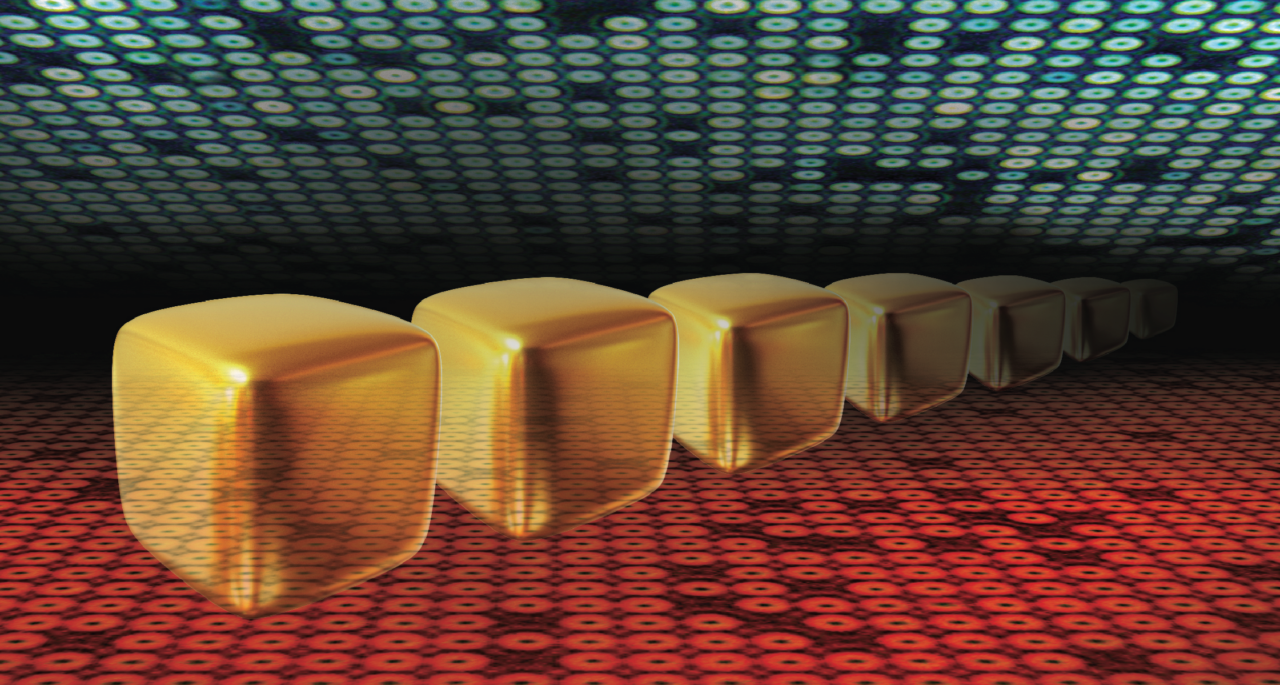 Farnaz Niroui - News