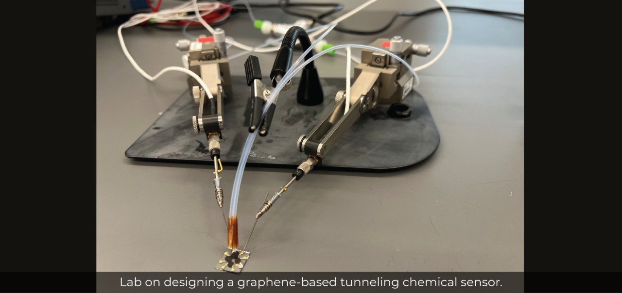 Farnaz Niroui - Teaching